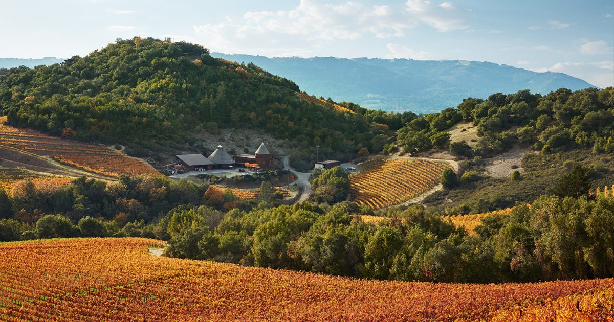 Repris Wines | Estate